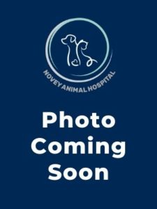 Tallahassee Veterinarians and Vet Staff - Novey Animal Hospital